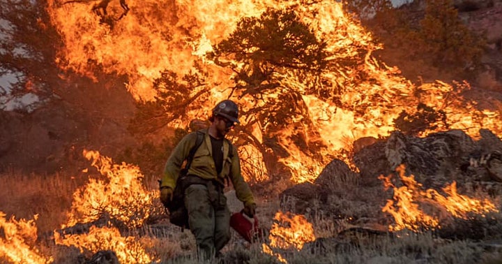 UPDATE: Cal Fire Investigators Find PG&E Power Lines Started Dixie Fire ...