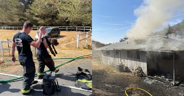 Firefighters Rescue Pets From Castro Valley House Fire - CBS San Francisco