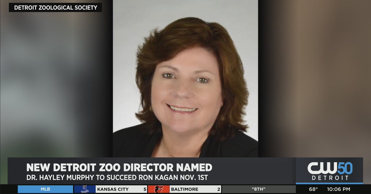 Detroit Zoo Names Hayley Murphy As First Female Director - CBS Detroit