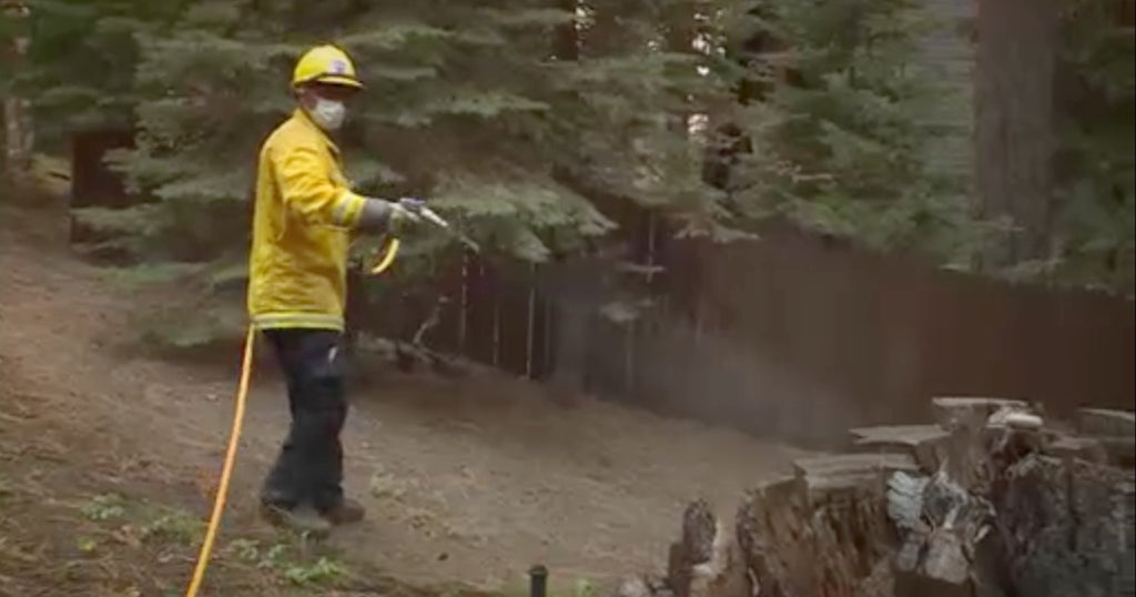 New Long-Term Fire Retardant Technology Aims To Provide Extra Layer Of ...