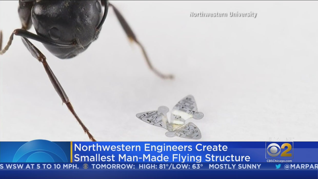 World's Smallest Flying Structure Developed By Northwestern Engineers ...