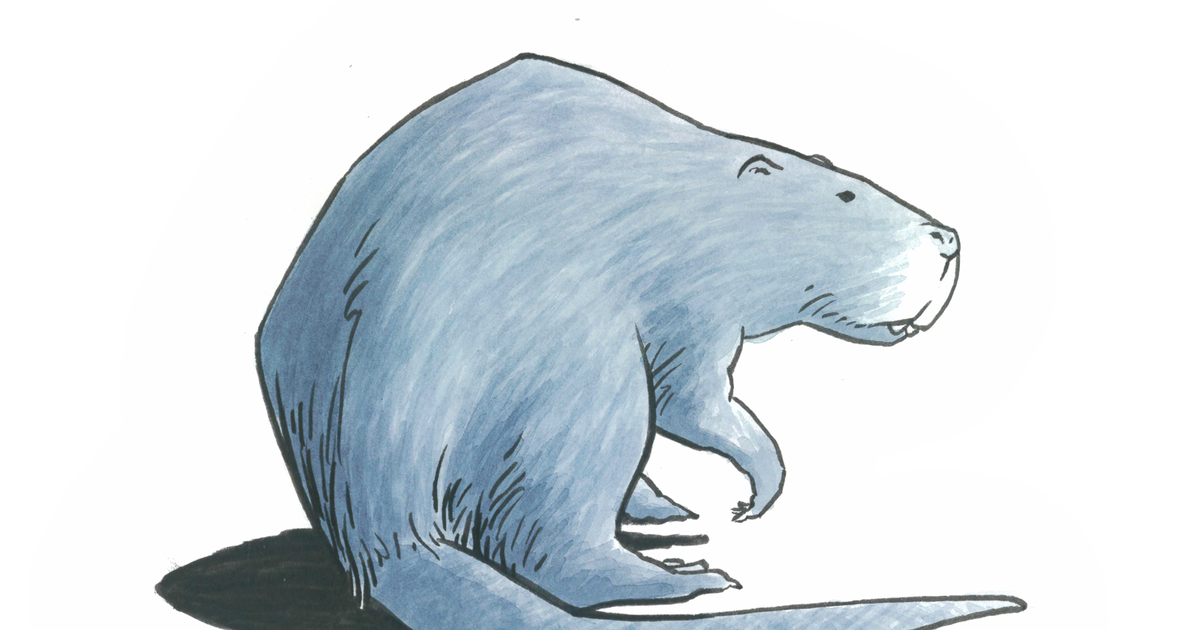 Minnesotans Vote For Giant Beaver As State Fossil - CBS Minnesota