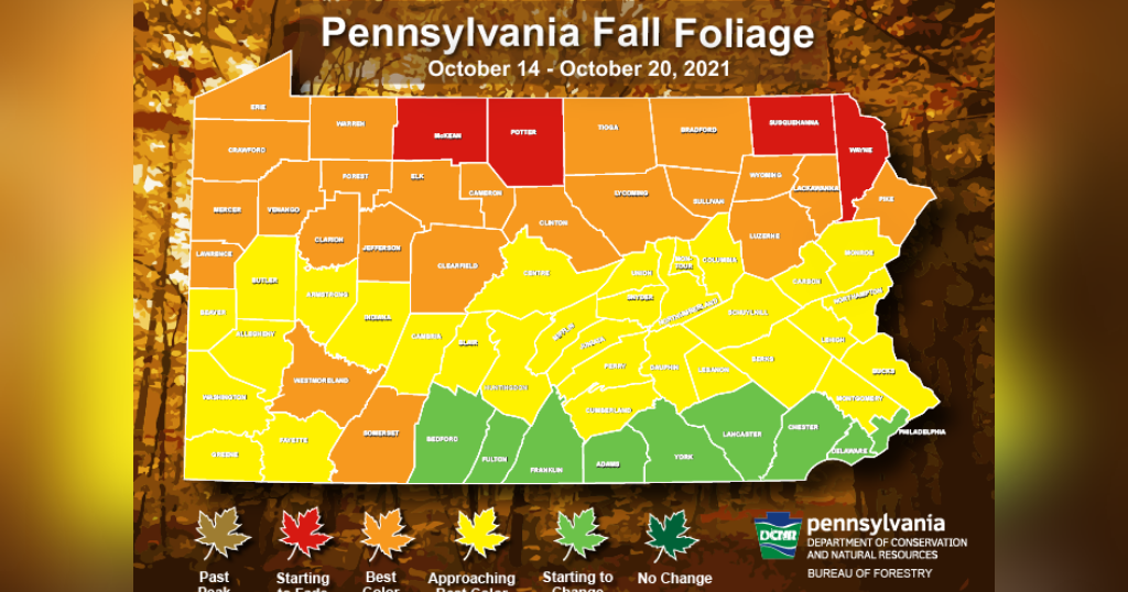 Fall Foliage Report: Cooler Temps To Drive Bloom Of Bright Colors - CBS ...