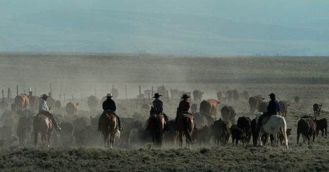 60 Minutes rides along on the longest-running cattle drive left in ...