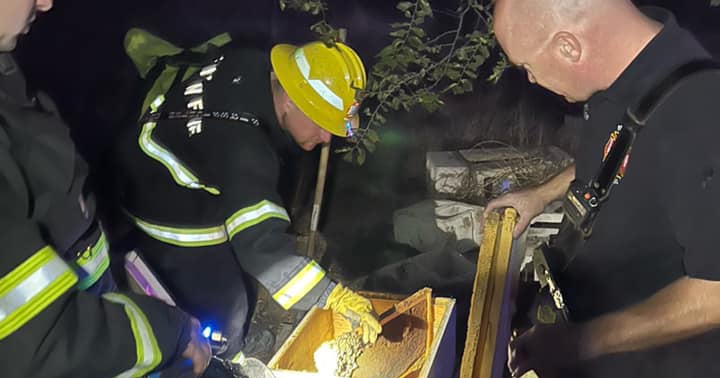 Bee Hives Set On Fire At Fountain Nature Center, Firefighters Say - CBS ...