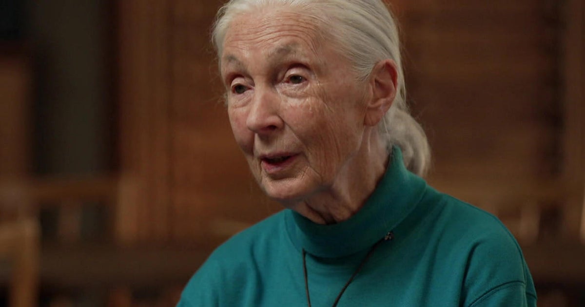 Jane Goodall on her hope for the future - CBS News