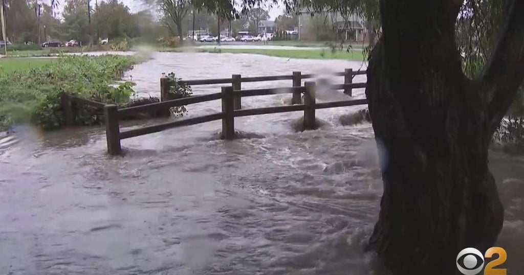 What's Causing Record Flooding? Experts Say Missing, Dying Trees Are ...