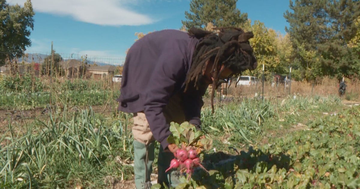Farmers Of Color Growing Roots While Advocating For Food Justice - CBS ...