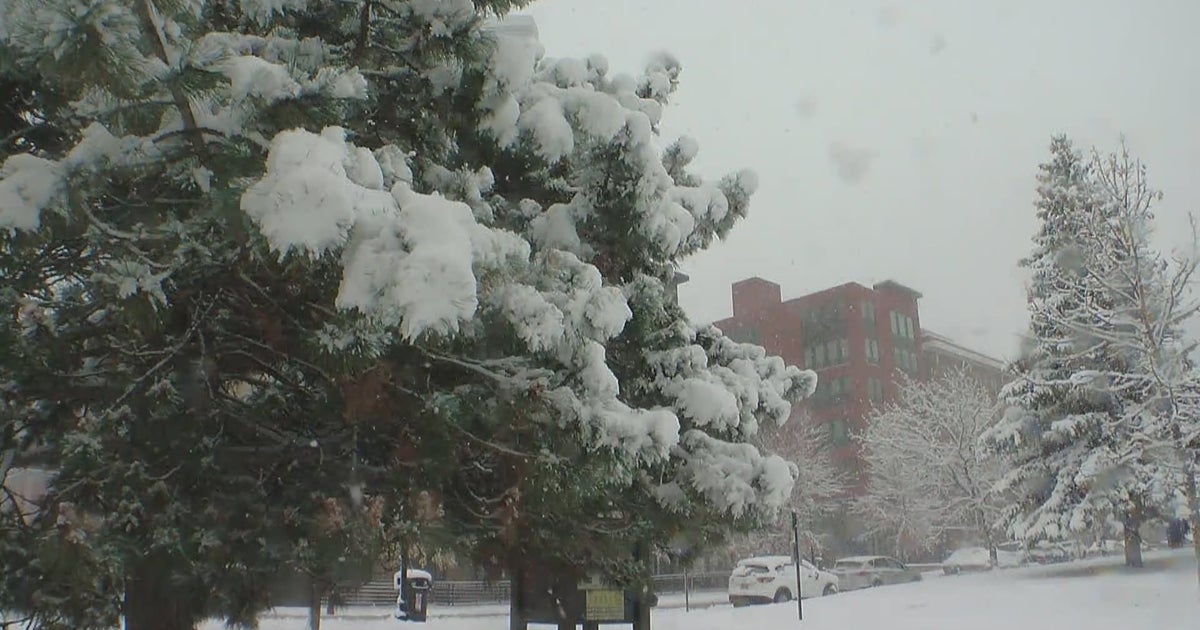 Experts Say Minnesota Is Already Facing Effects Of Climate Change - CBS ...