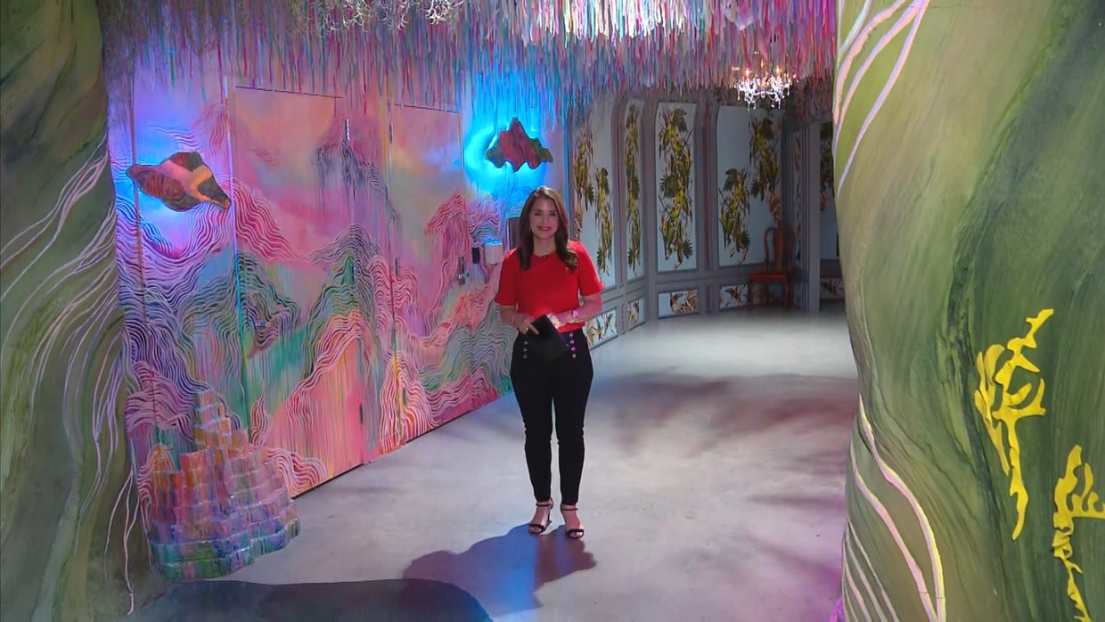 CBS4's Michelle Griego Explores Meow Wolf's Convergence Station During ...