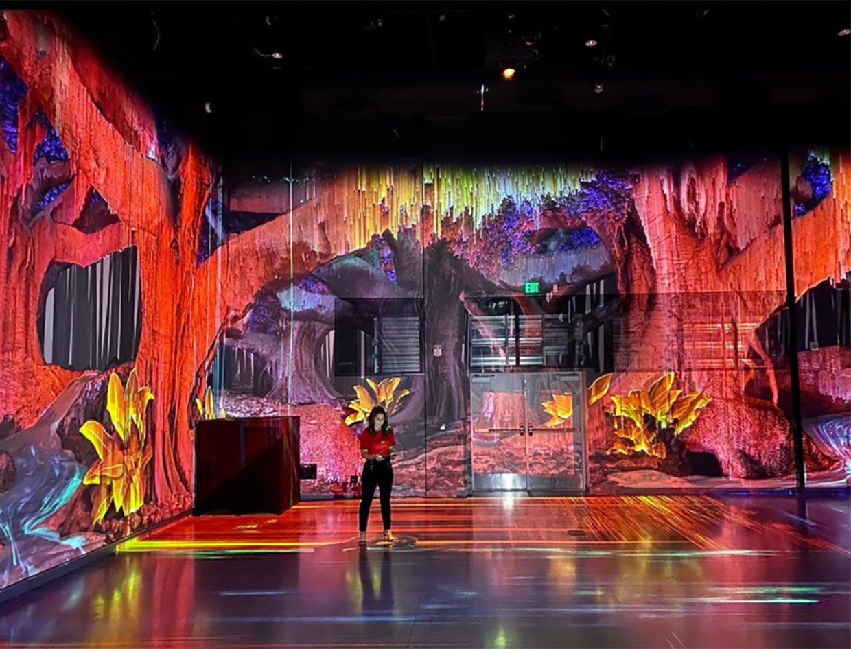 CBS4's Michelle Griego Explores Meow Wolf's Convergence Station During ...