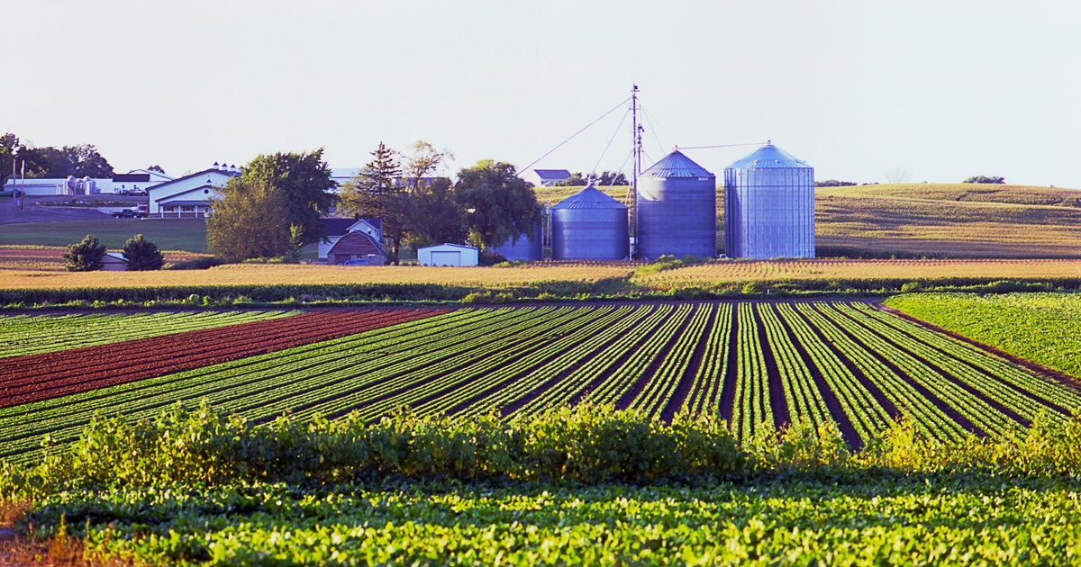 Michigan Farmers To Receive Grants For Assistance With Specialty Crops ...