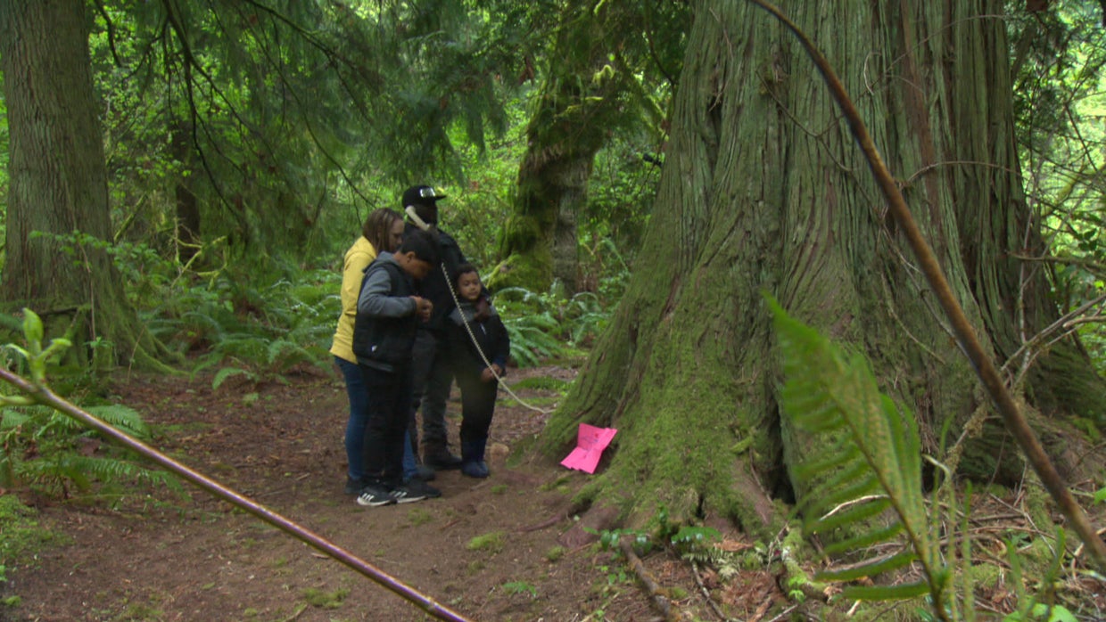 Making phone calls to the departed - CBS News