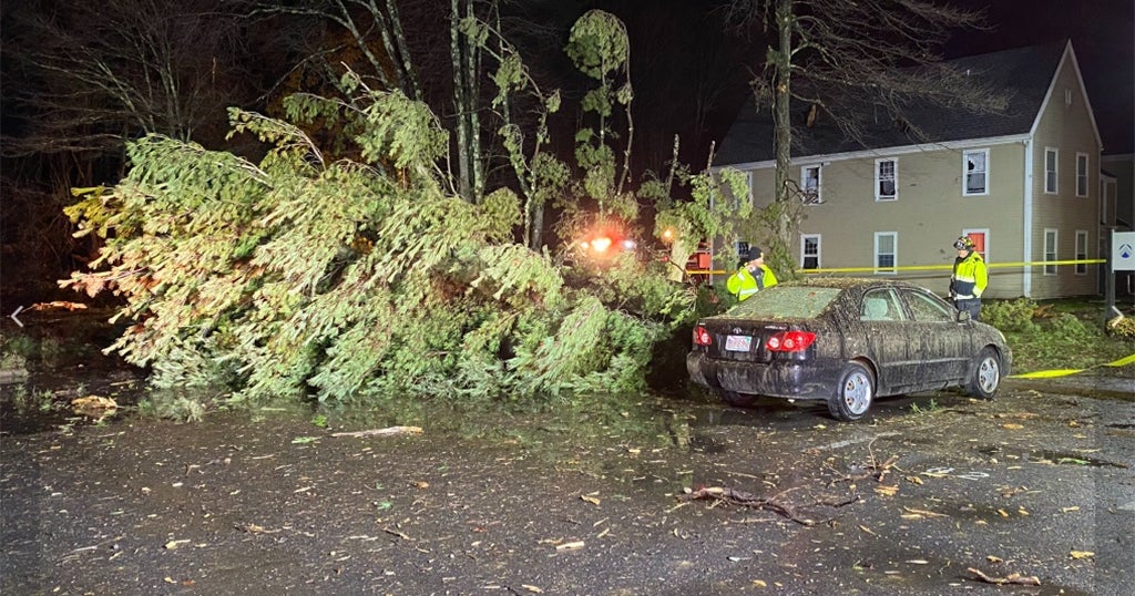 Lightning Strikes Tree, Damages Ashland Apartment Complex: 'I Thought A ...