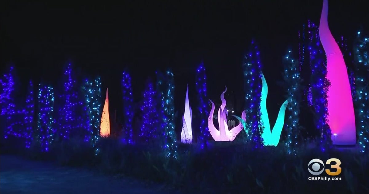 Philadelphia Zoo's LumiNature Holiday Lights Extravaganza Opens ...