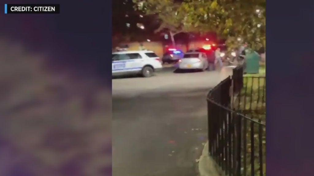 Stories About Wagner Houses - CBS New York