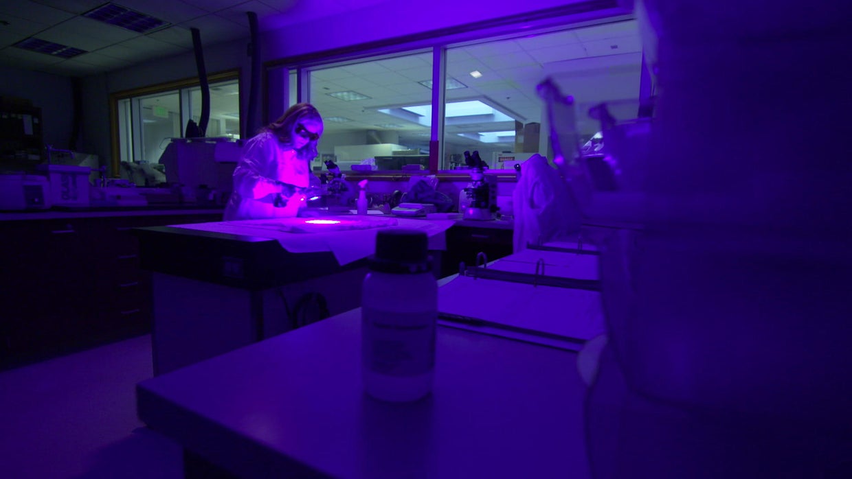 The disappearance of Tanya Van Cuylenborg and Jay Cook: Following a ...