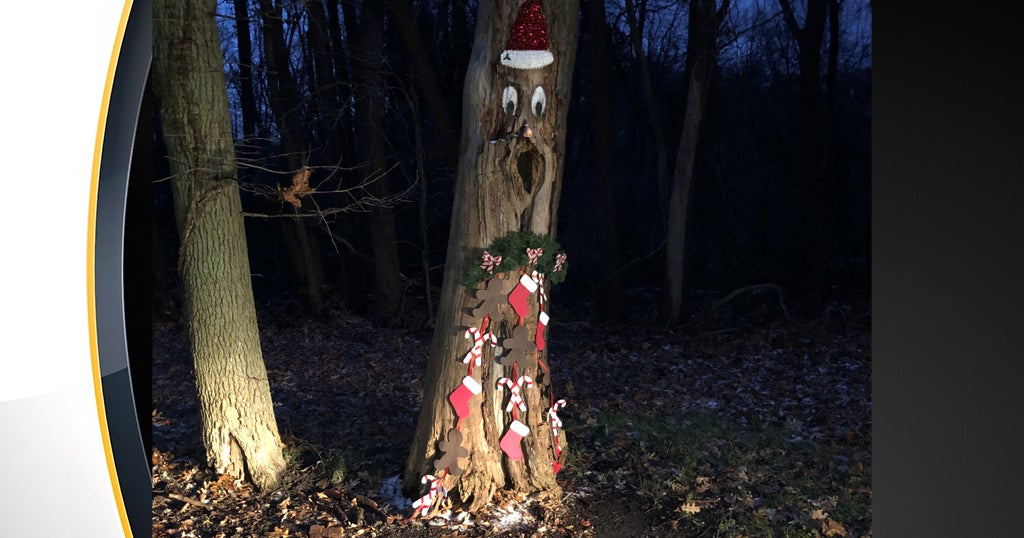 Mr. Tree In North Park Gets A Holiday Makeover - CBS Pittsburgh