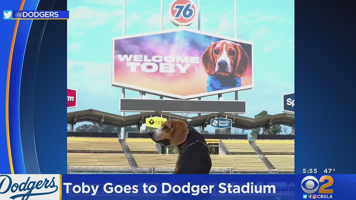 Dodger Stadium news - Today’s latest updates - CBS Los Angeles