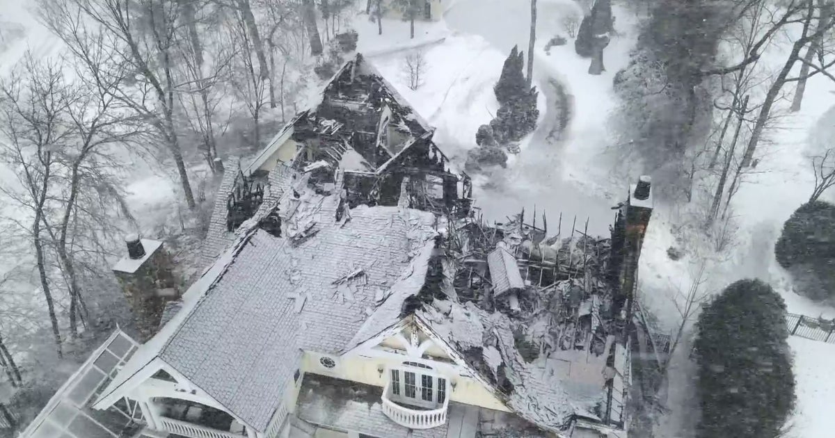 Sophia Schultz Charged With Arson, Assault In Lake Minnetonka Mansion ...