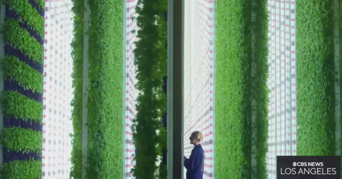 Ag Startup And Walmart Building Tech-Operated Indoor Farm In Compton ...