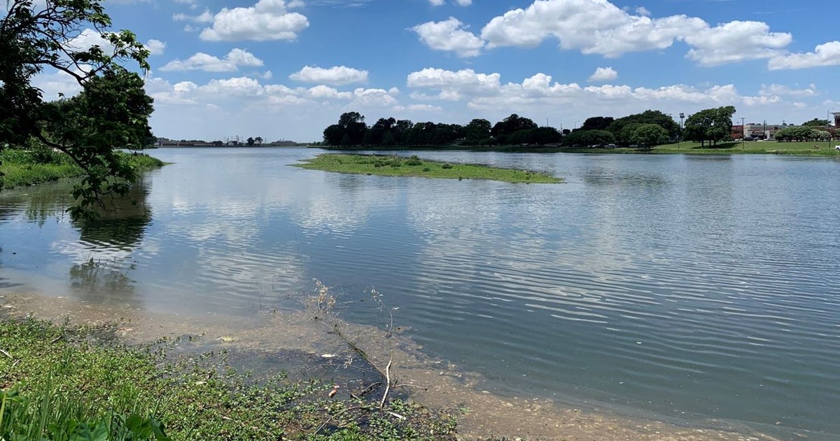 Cleanup And Dredging Begins At Bachman Lake In Dallas - CBS Texas