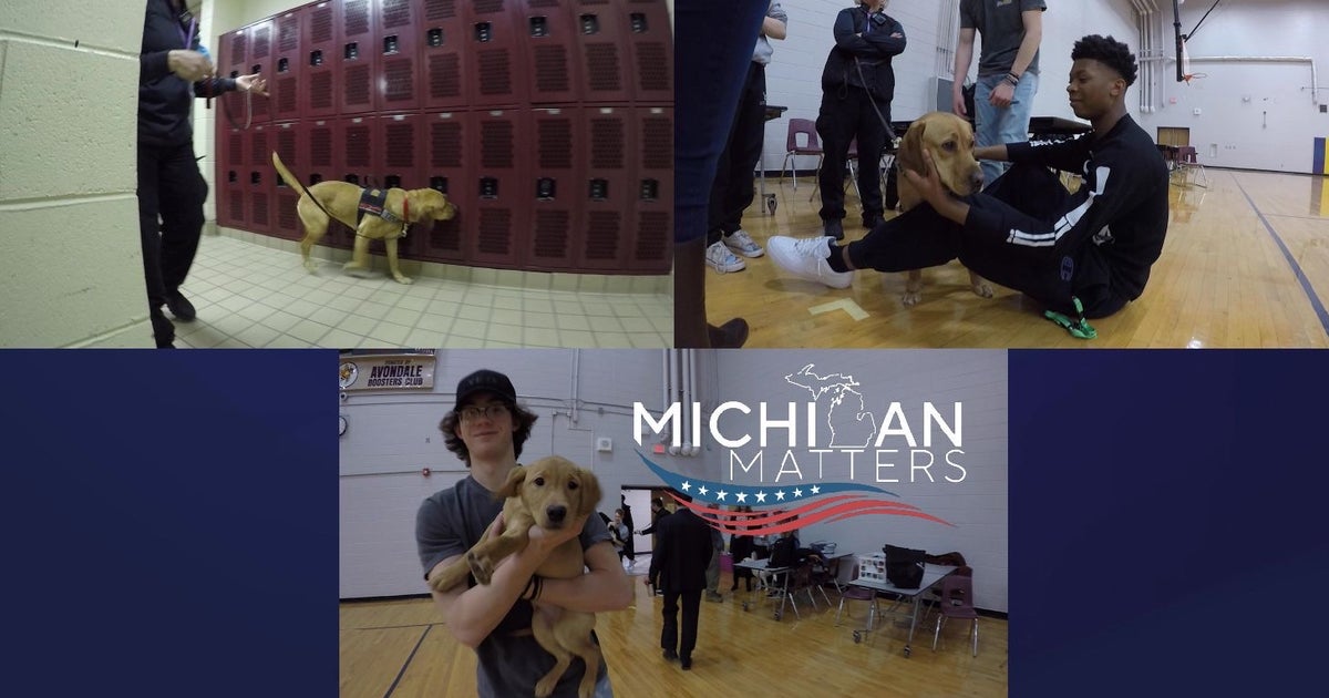 Michigan Matters: Man's best friend helping schools - CBS Detroit