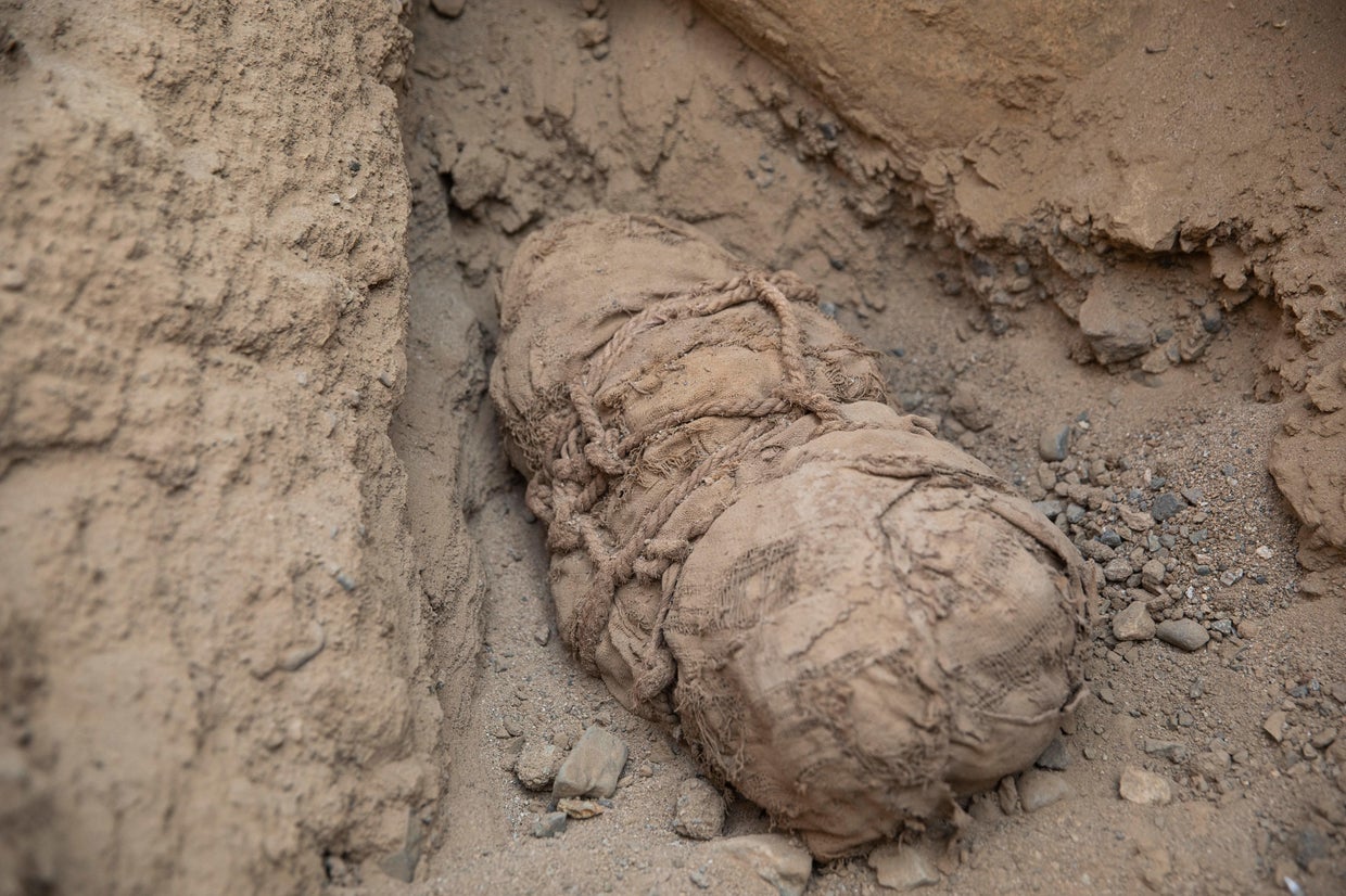 Ancient mummies of children unearthed in Peru. They were likely ...