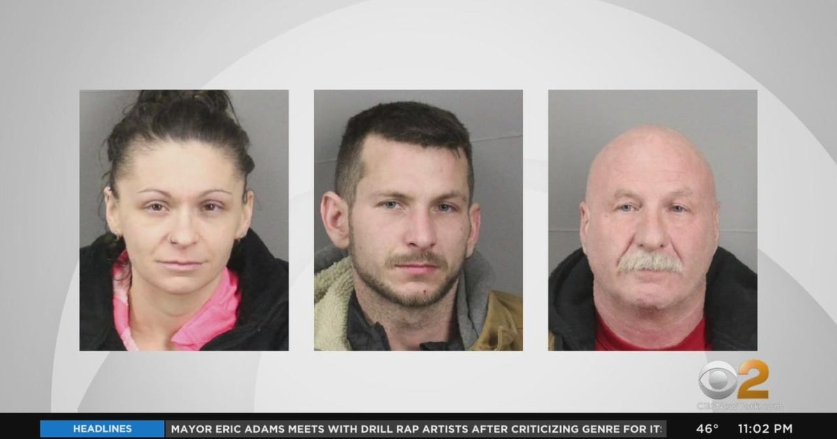 Biological parents, grandfather of Paislee Shultis face judge - CBS New ...