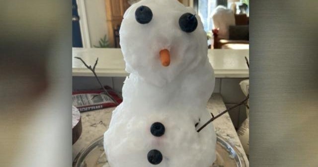 Florida teacher surprises students with real snowman - CBS News