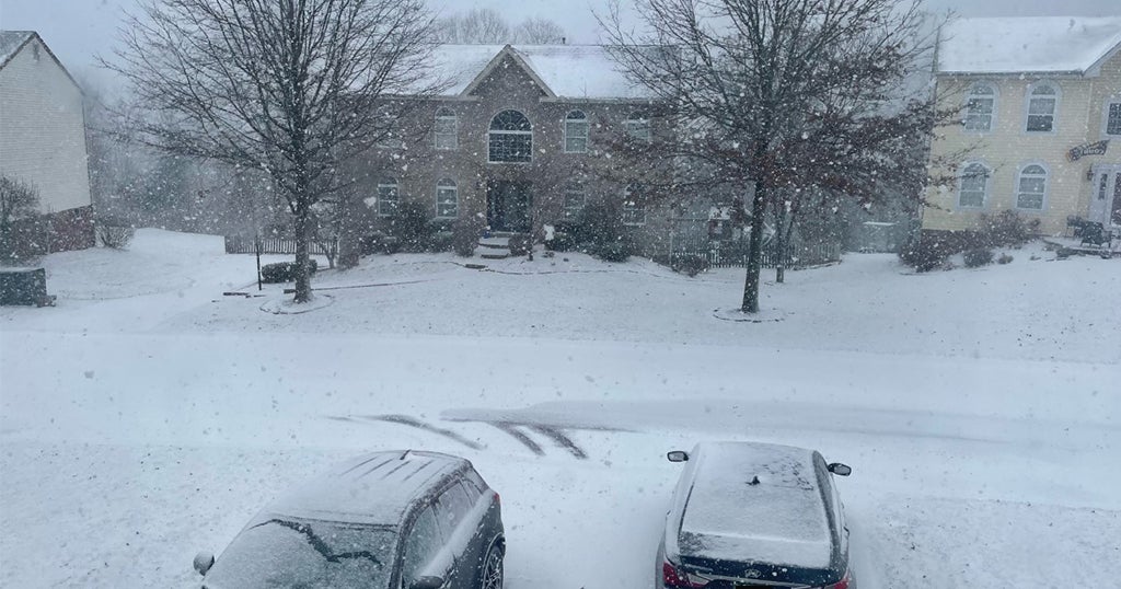 Snow Flurries Briefly Cover Some Pittsburgh Neighborhoods This Morning ...