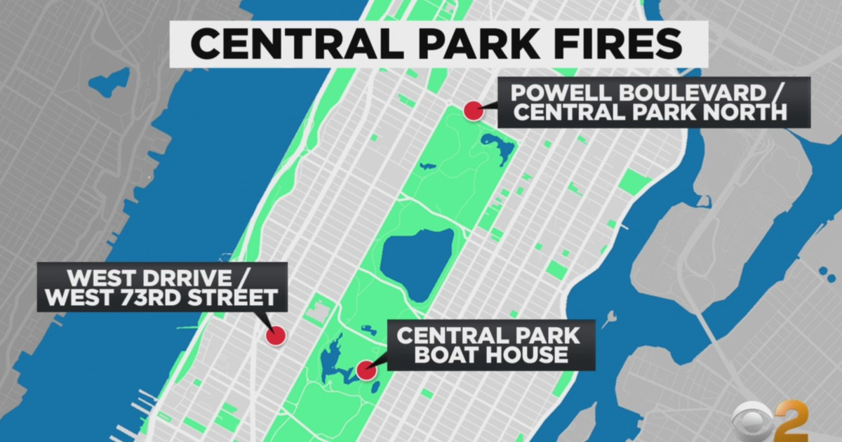 Police investigating another string of brush fires in Central Park ...
