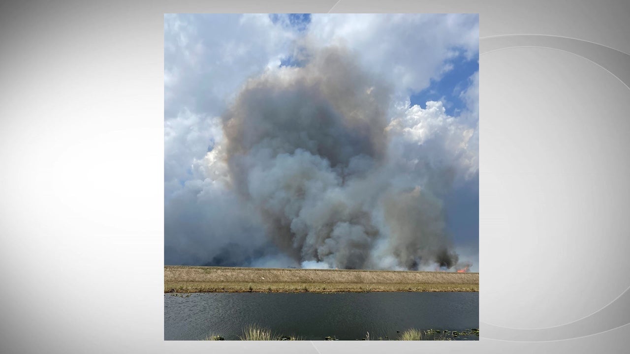 Brush Fire news - Today’s latest updates - CBS Miami
