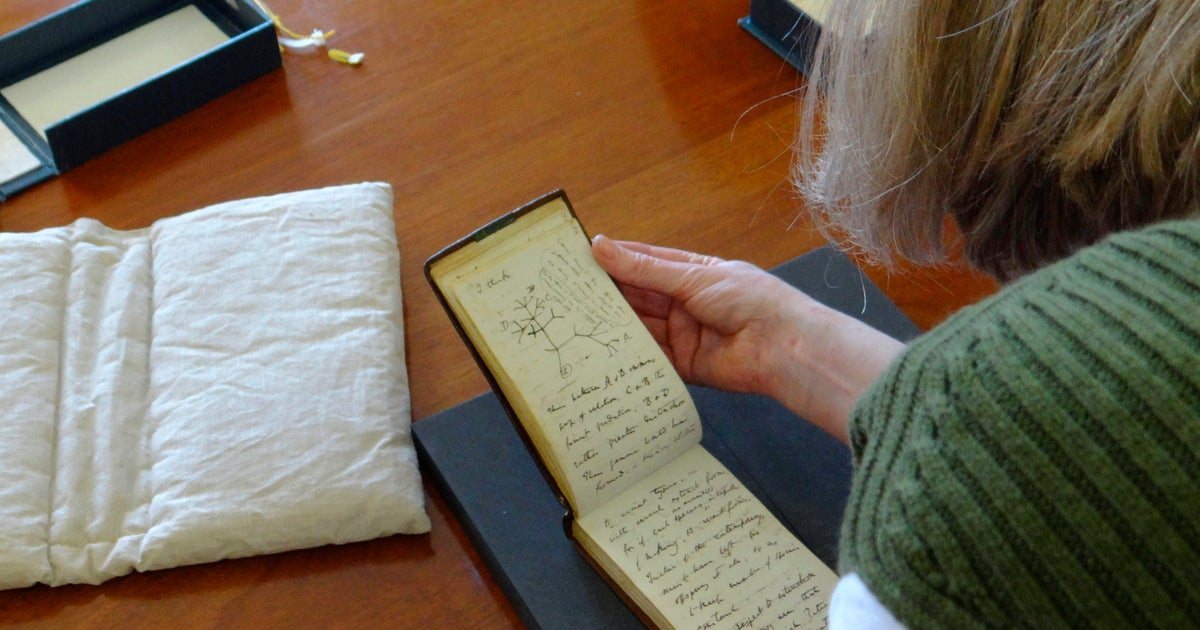 Charles Darwin's "Tree of Life" notebooks, missing for two decades ...