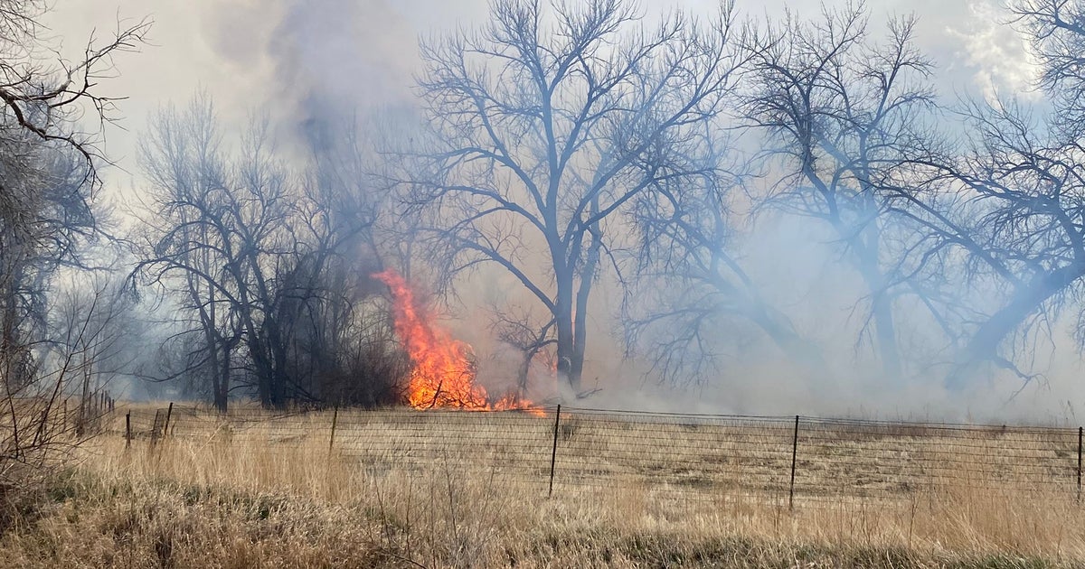 Pueblo Wildfire Burning Near PAWS For Life Animal Shelter - CBS Colorado