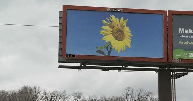 Billboards with Ukrainian national flower pop up in U.S. - CBS News