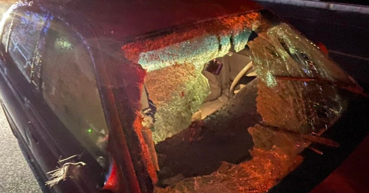 New Hampshire Police Issue Warning After Driver Hits And Kills Moose ...