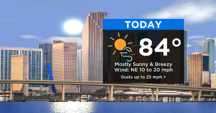 Miami Weather: Cold Front Brings Plenty Of Sun, Gusty Winds - CBS Miami
