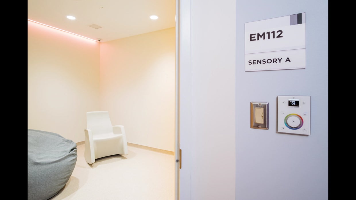 Mental Health Crisis Patient Intake Down 60% After Southdale Launches ...