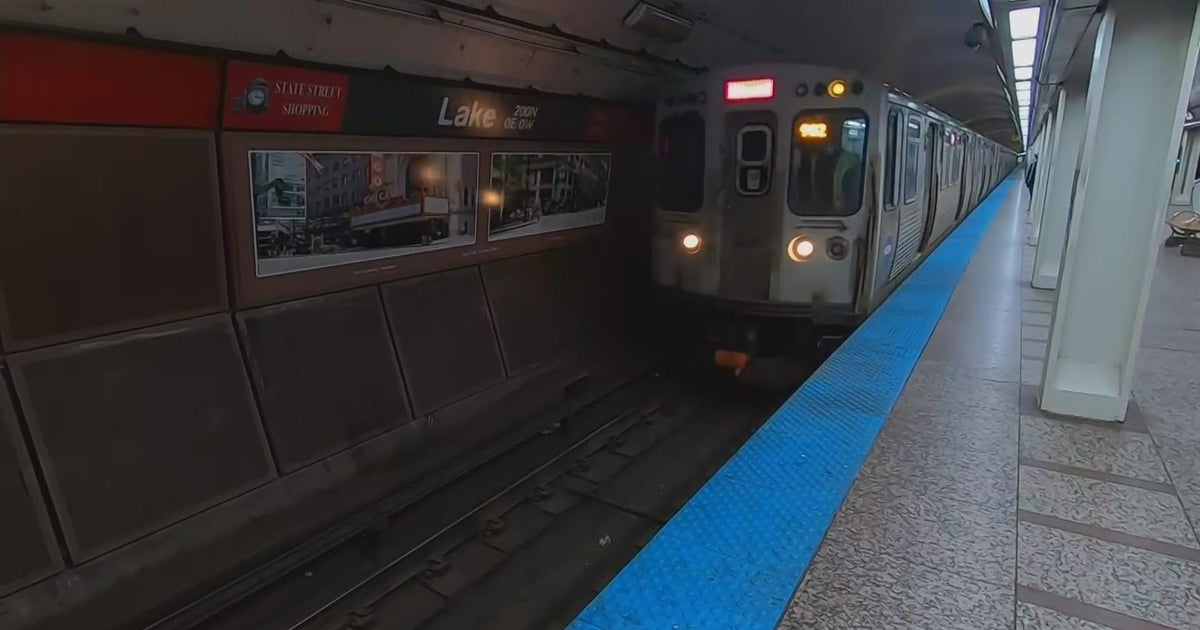 Volunteer security guards trained in martial arts to patrol CTA Red ...