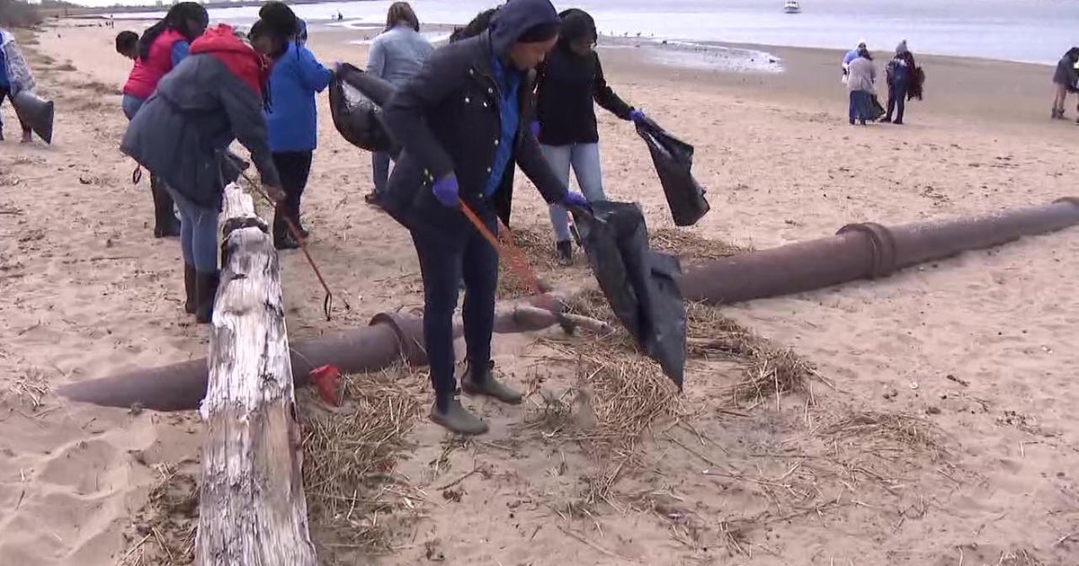 Earth Day: Volunteer says cleanups have helped improve conditions in ...