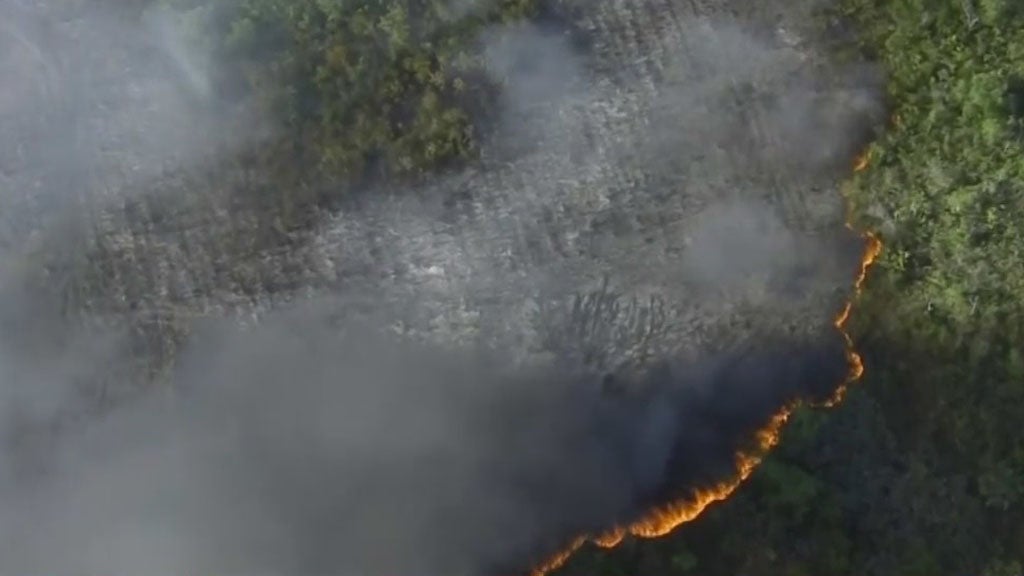 Brush Fire news - Today’s latest updates - CBS Miami