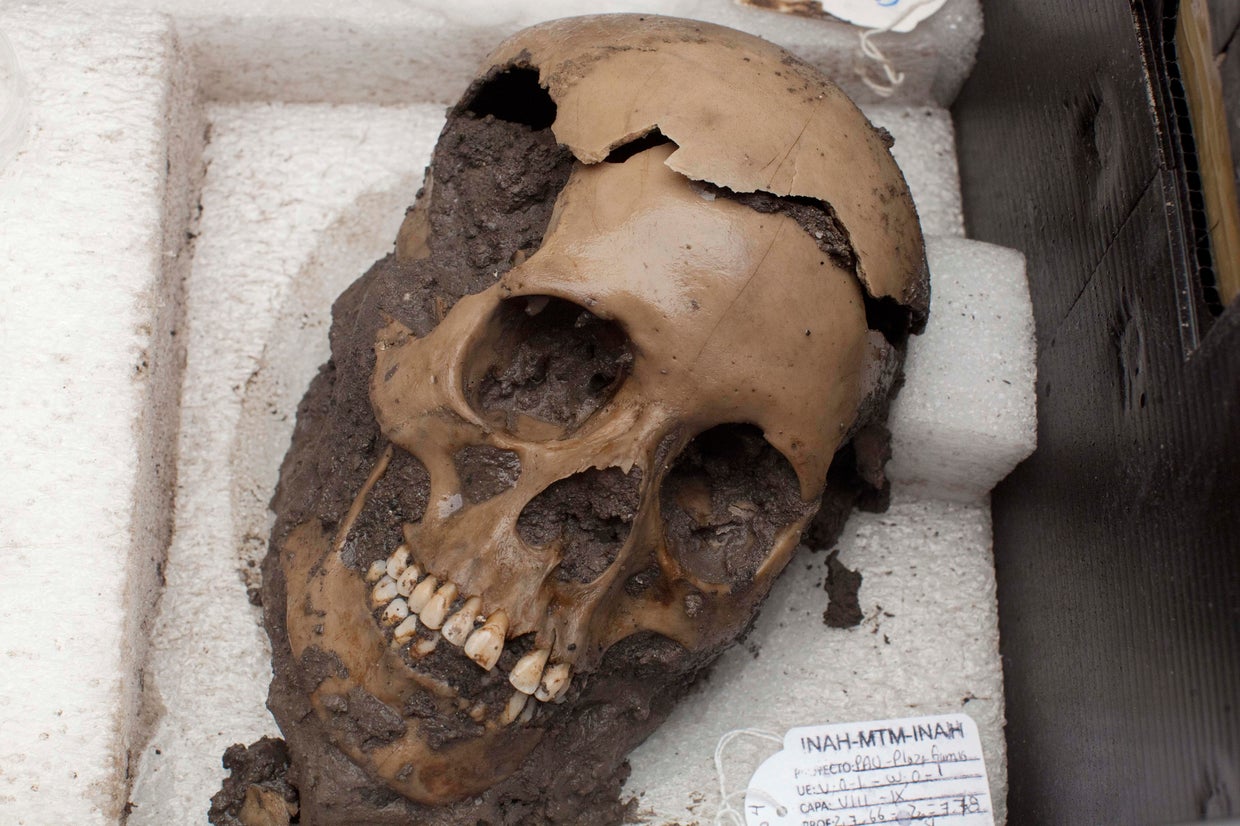 Police found 150 skulls at a "crime scene" in Mexico. It turns out the ...