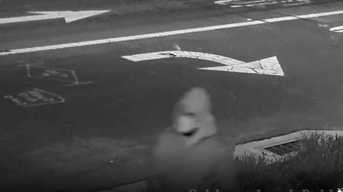 Alexis Gabe, Oakley, missing person - CBS San Francisco