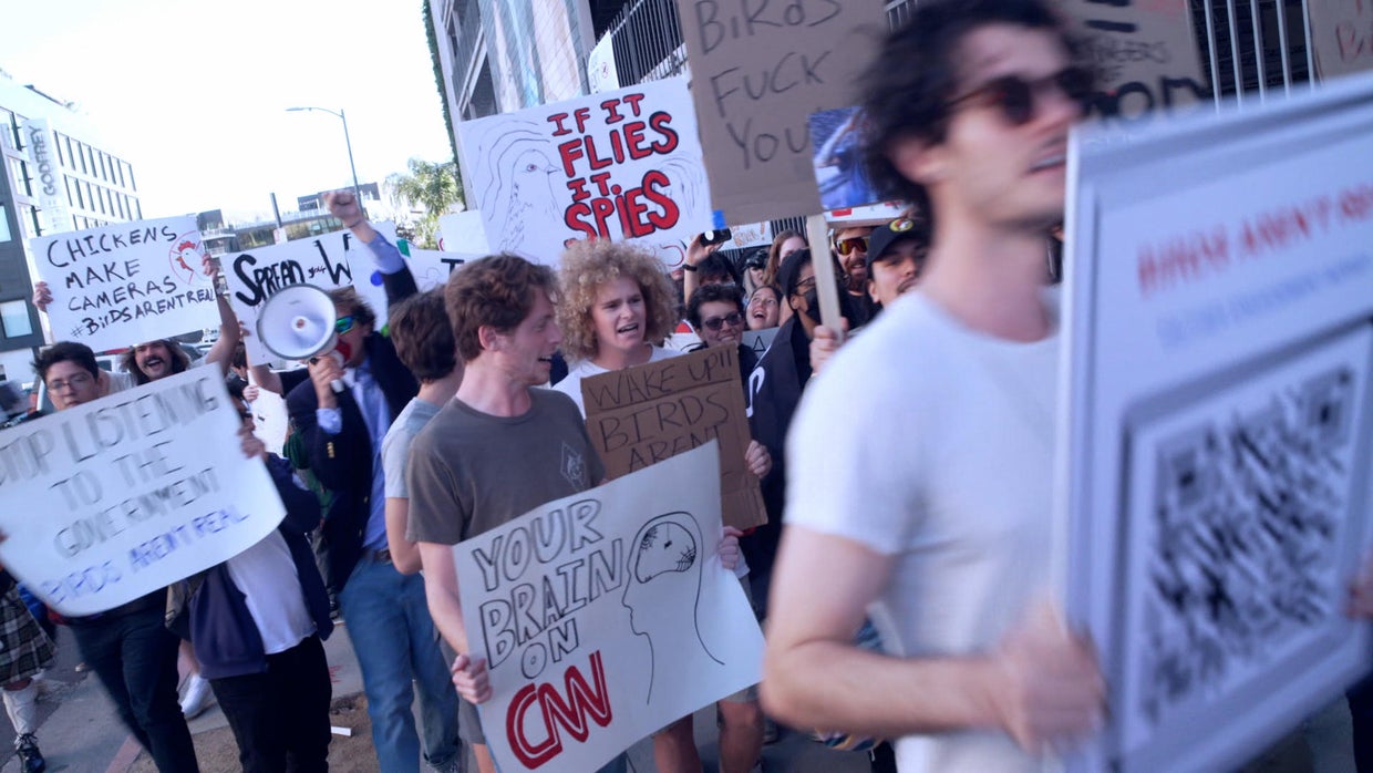 Parodying conspiracy theories with the Birds Aren't Real movement - 60 ...