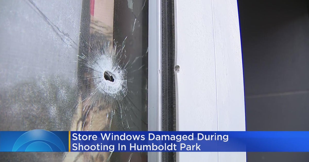 Store windows damaged during shooting in Humboldt Park - CBS Chicago