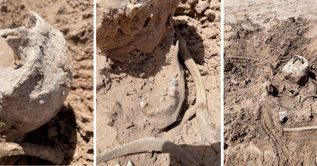 Human Remains Surfacing In Drought stricken Lake Mead Recall Mob s Time 