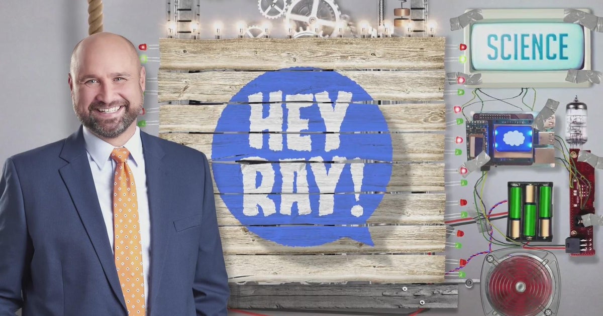 Hey Ray: Attracting birds to your yard - CBS Pittsburgh