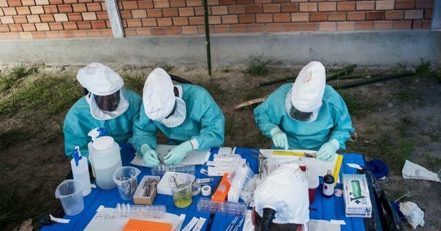 Health officials taking notice as cluster cases of monkeypox spread ...