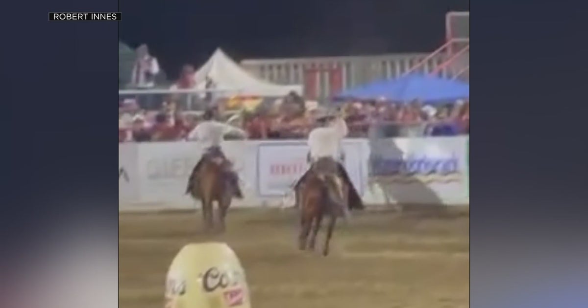 WATCH: Bull Bucks Off Rider, Jumps Into Stands At Redding Rodeo; 5 ...